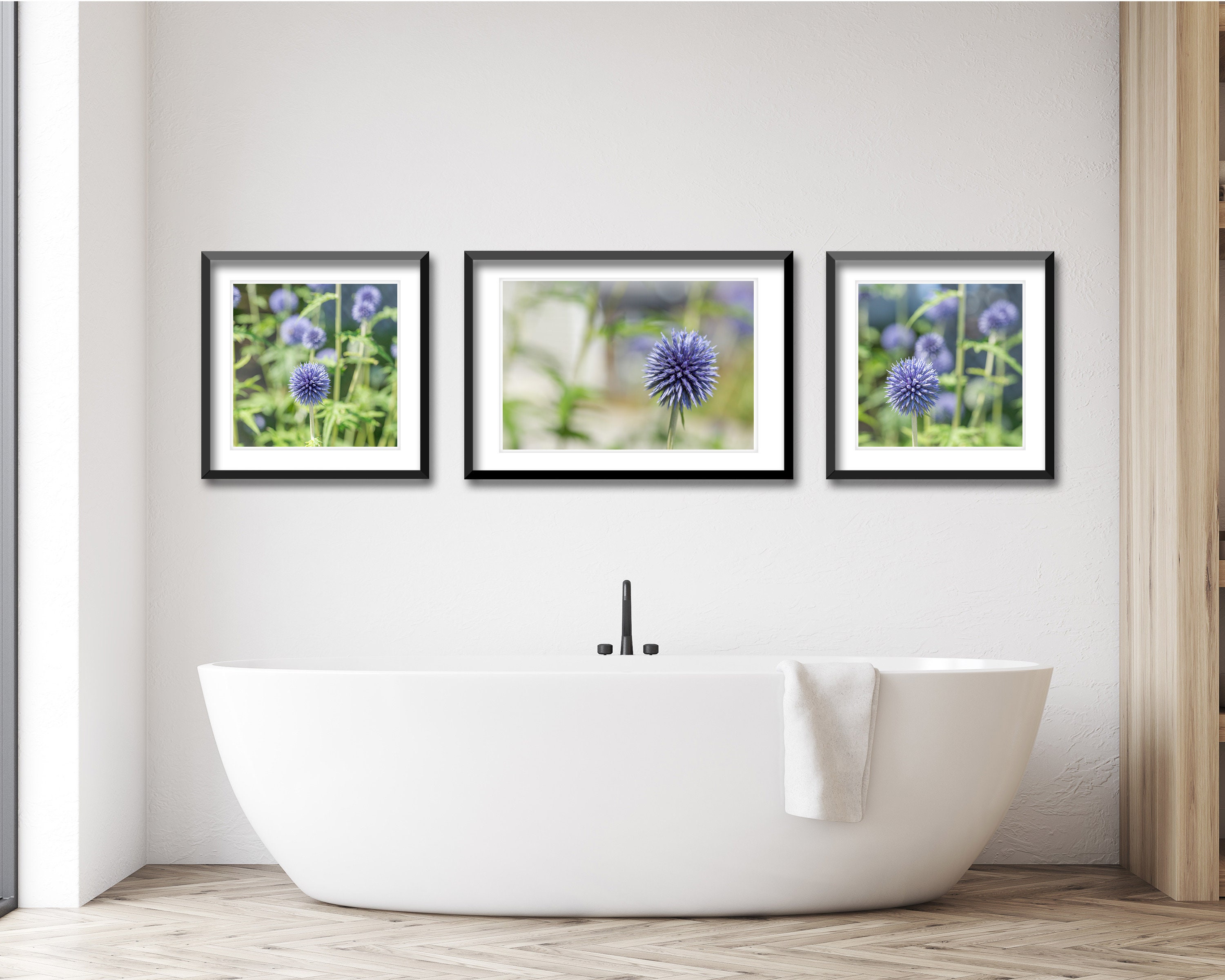 Botanical Photos Set of 3 Instant Download Printable Photo - Etsy