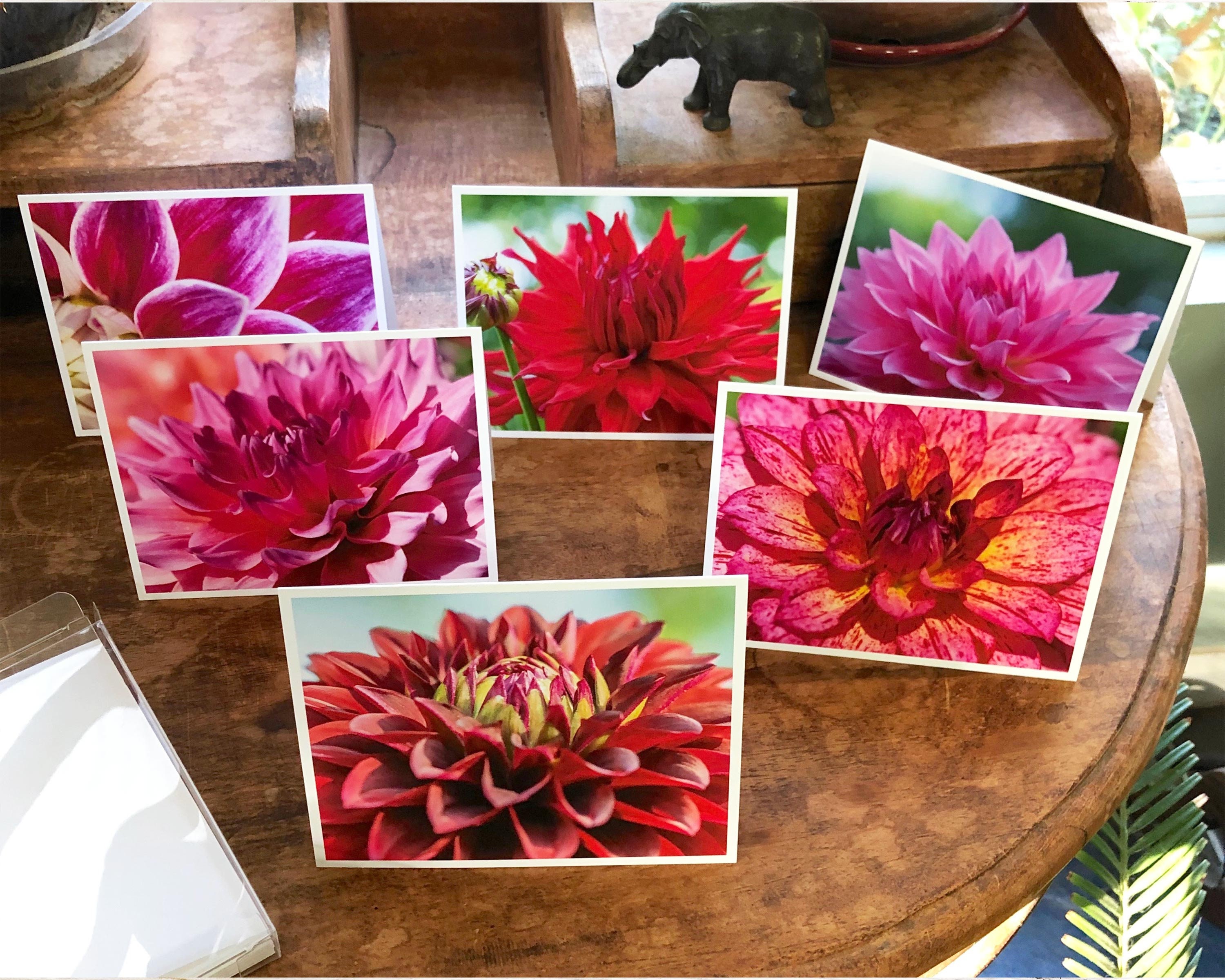 Dahlia Photo Note Cards set of 6, Dahlia Notecards, Flower Note Cards ...