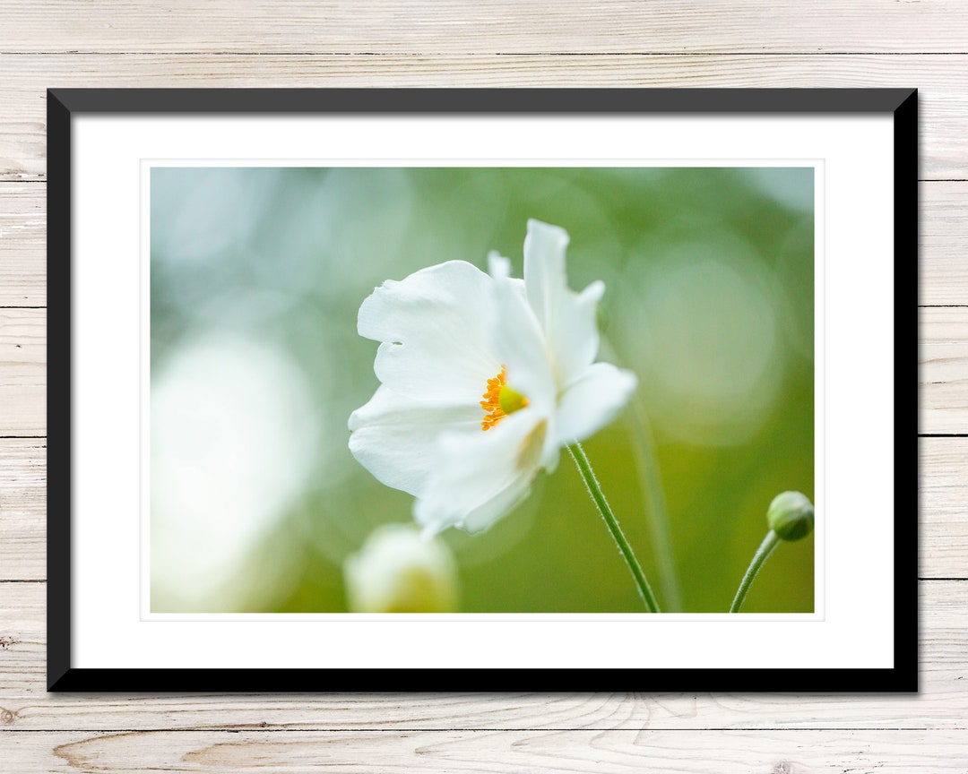 Wildflower Photo Instant Download, Printable Photo Wall Art, Wildflower ...
