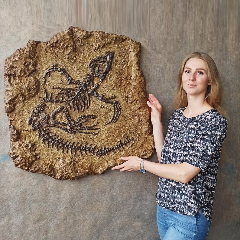 The World's Biggest Vadasaurus Fossil Replica: Immerse Yourself in ...