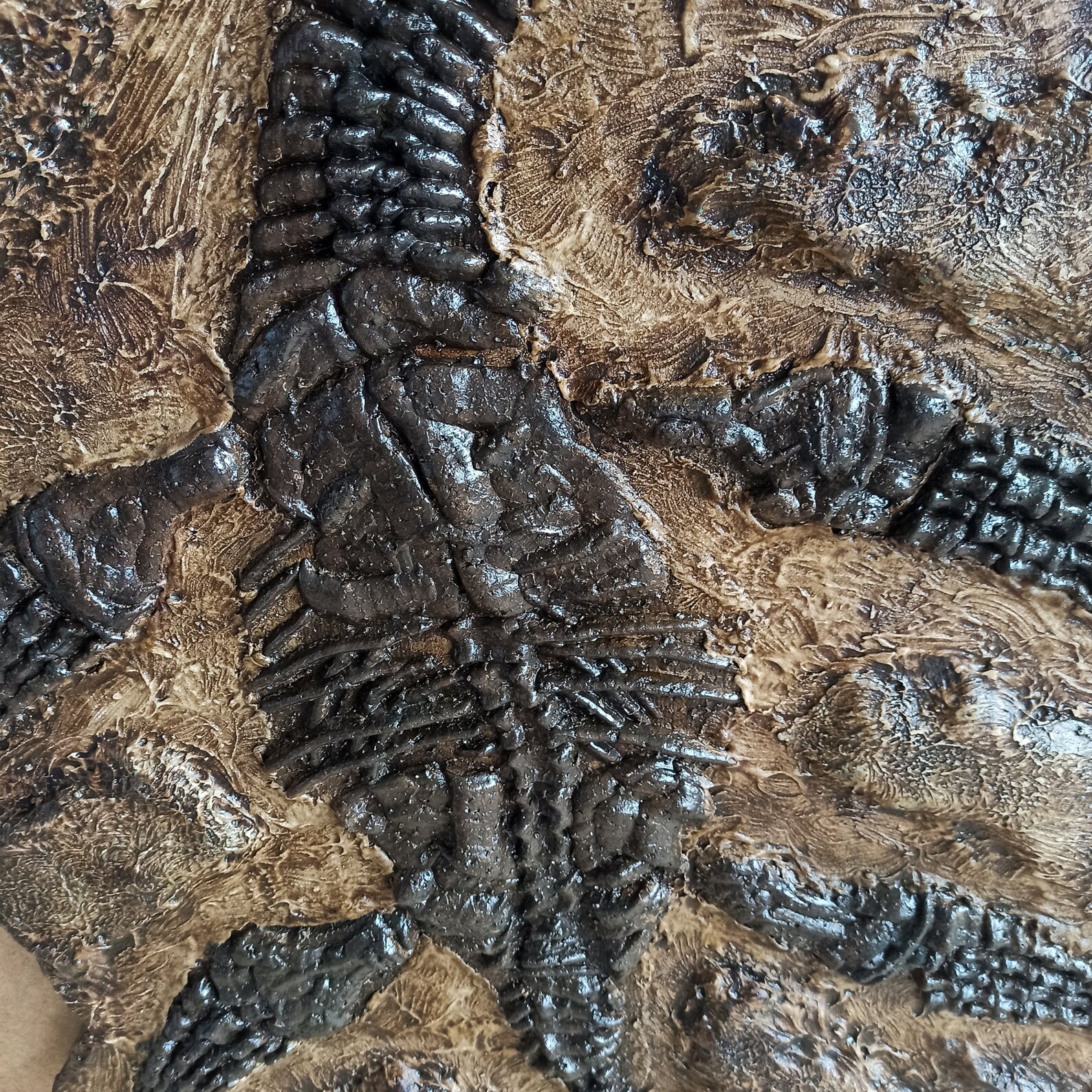 Giant Plesiosaur Fossil Mauricio Fernandez Fossil Replica Mesmerizing ...