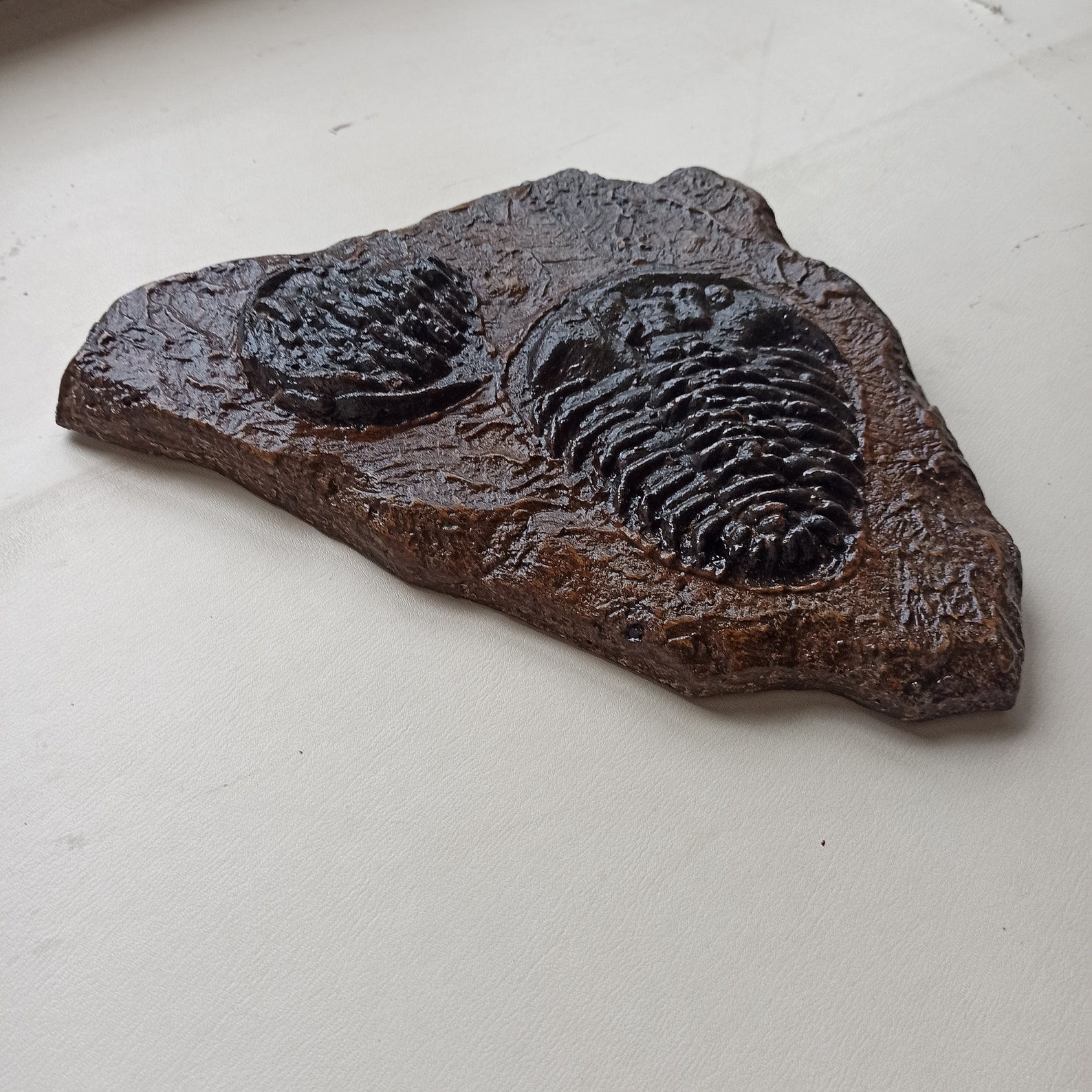 Giant Wall Clock Replica Trilobite Fossils Huge Wall Dial Creative Art ...