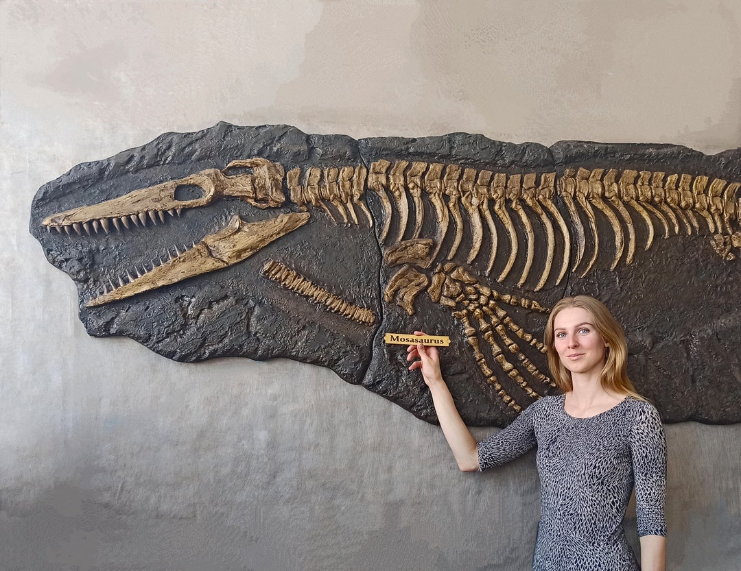 Mosasaurus Skeleton Fossil 15 FT Long full Lifesize Mosasaur Replica ...