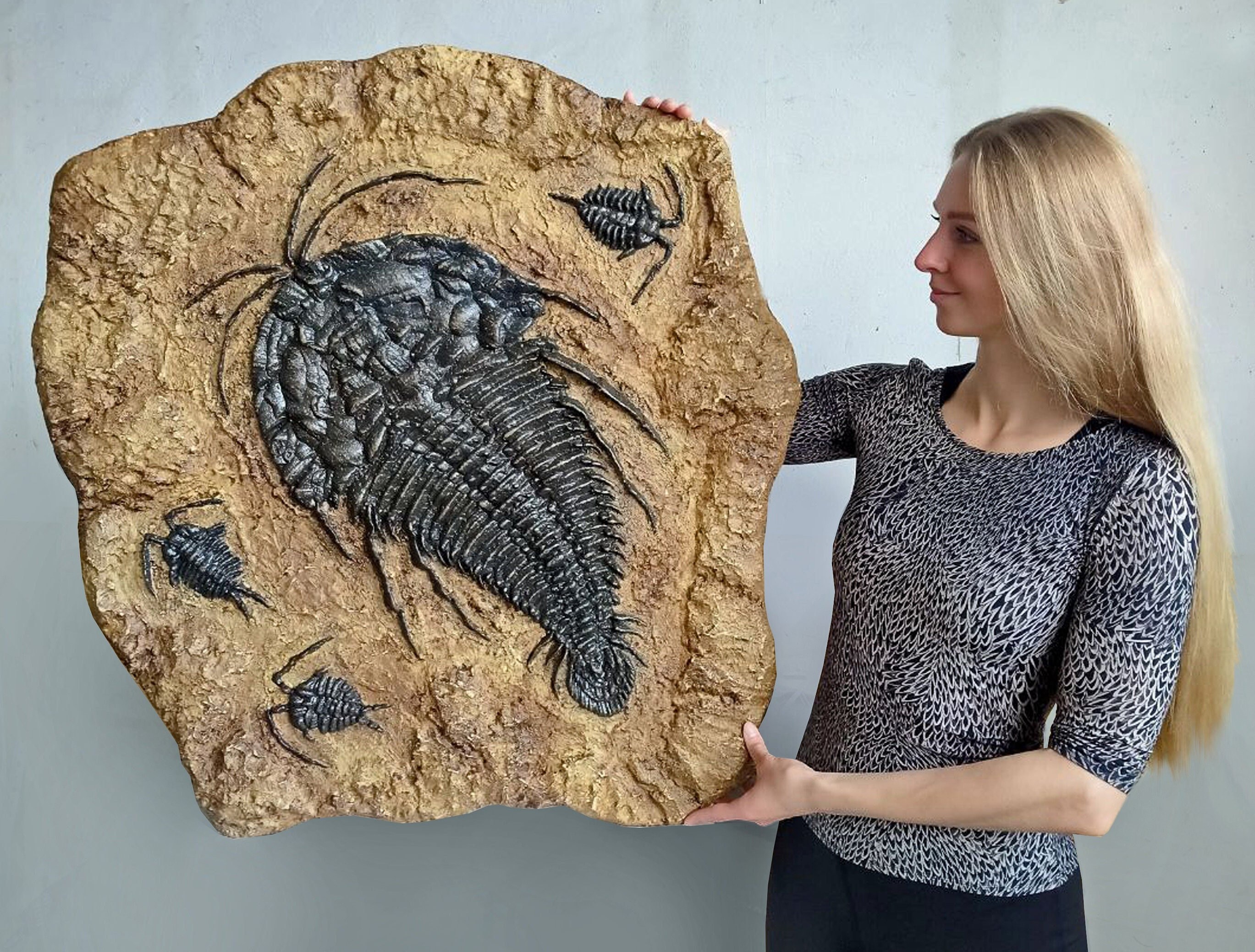 Exquisite Trilobite Fossil Replica Museum-quality Wall Decor for ...