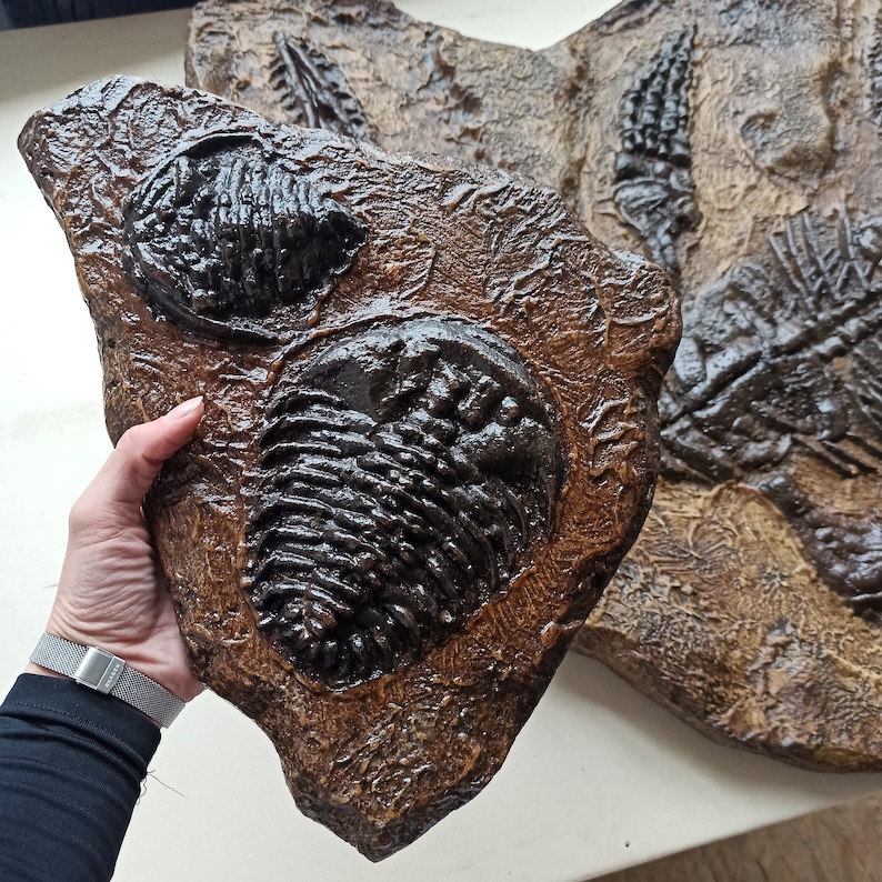 Giant Wall Clock Replica Trilobite Fossils Huge Wall Dial Creative Art ...