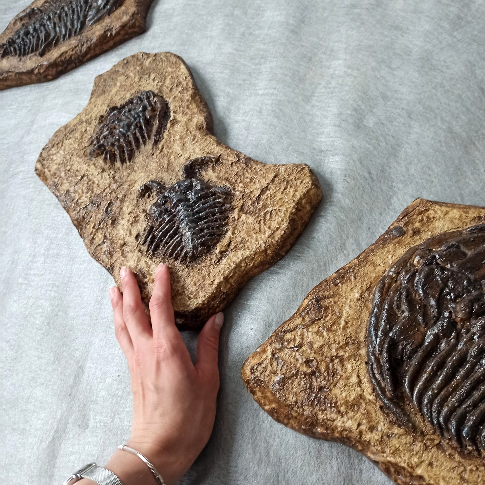 Giant Wall Clock Replica Trilobite Fossils Huge Wall Dial Creative Art ...