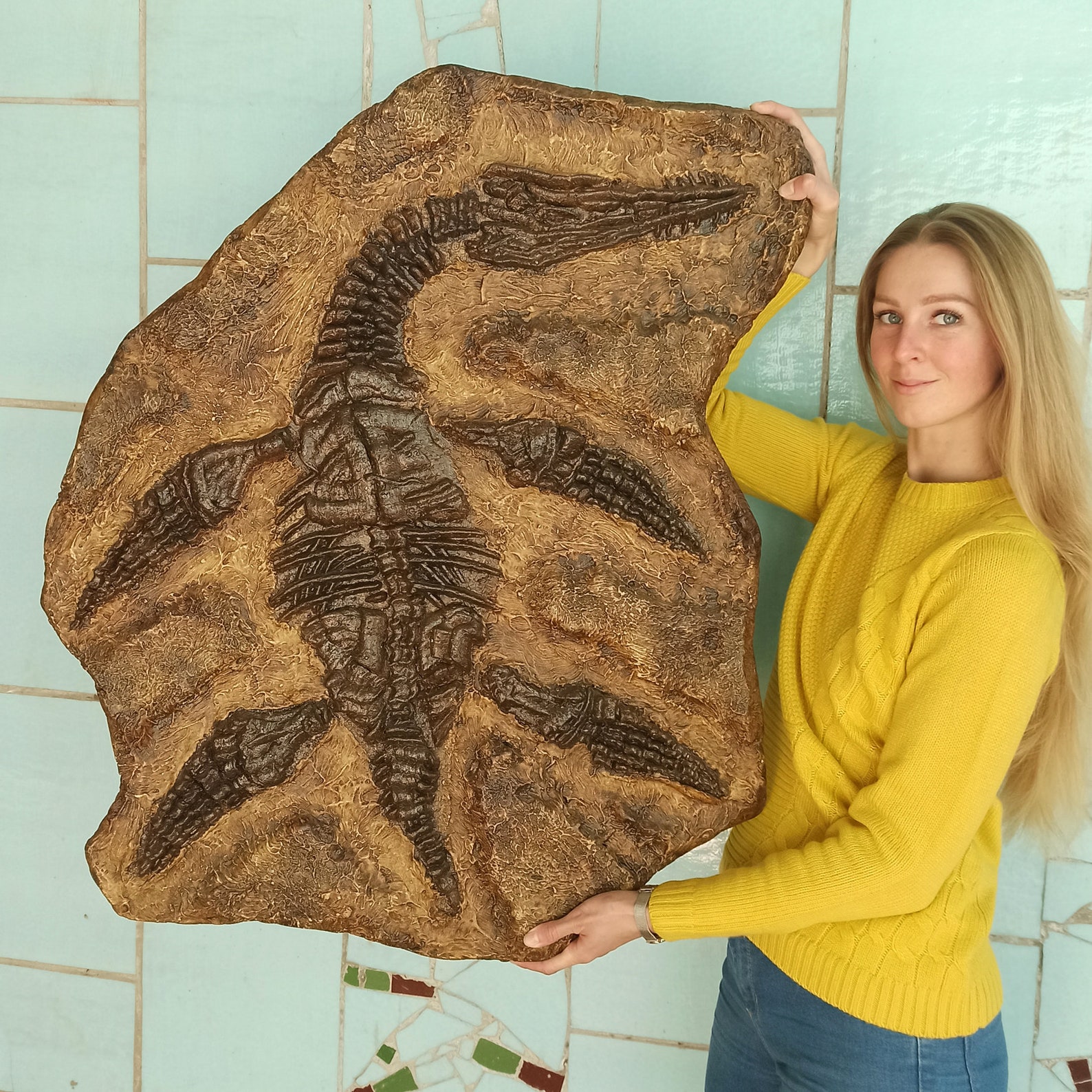 Giant Plesiosaur Fossil Mauricio Fernandez Fossil Replica Mesmerizing ...