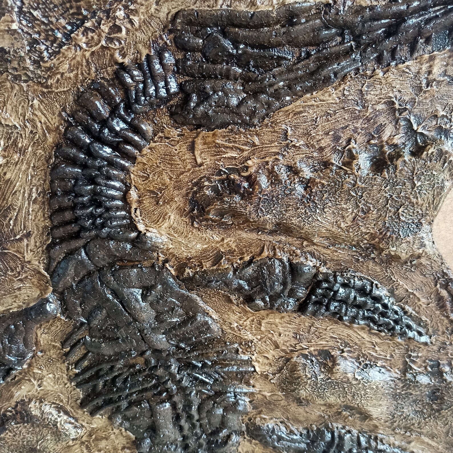 Giant Plesiosaur Fossil Mauricio Fernandez Fossil Replica Mesmerizing ...
