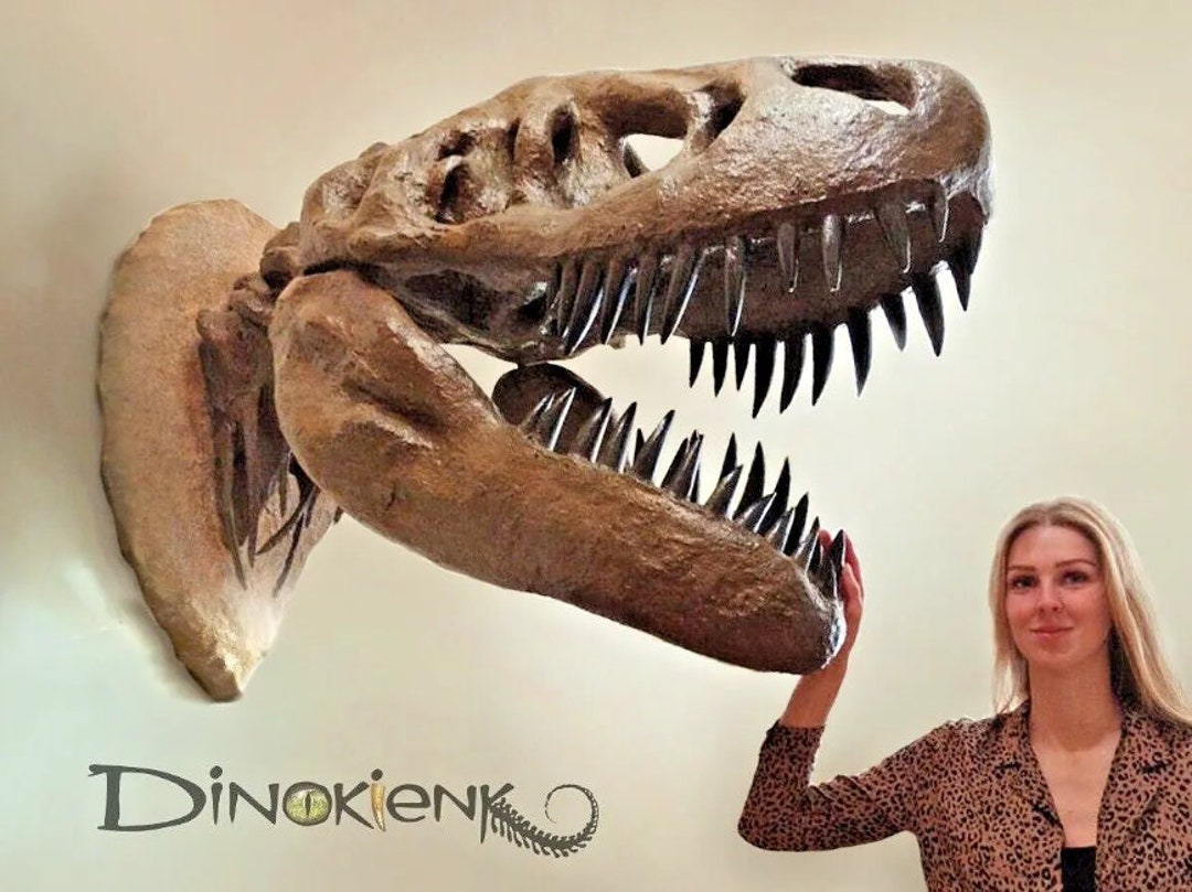 5 FT Premium Wall-mounted Lifesize T-rex Skull Replica Realistic ...