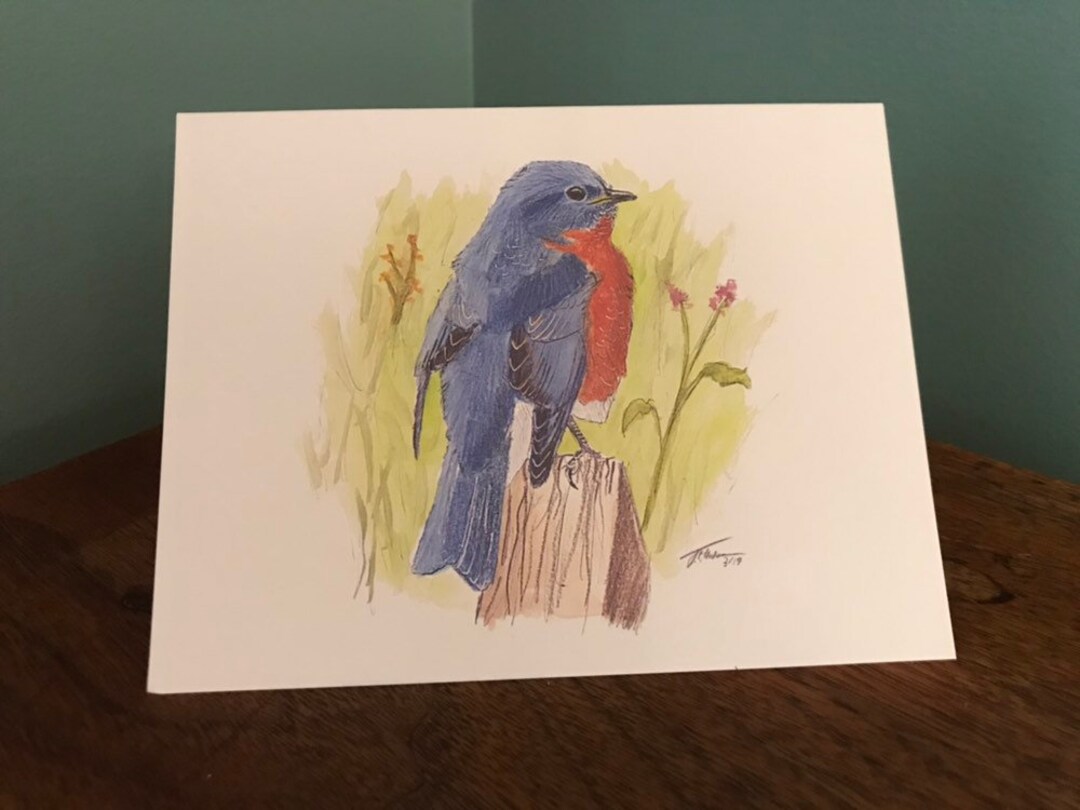 Juego de tarjetas Eastern Bluebird Note - Etsy España