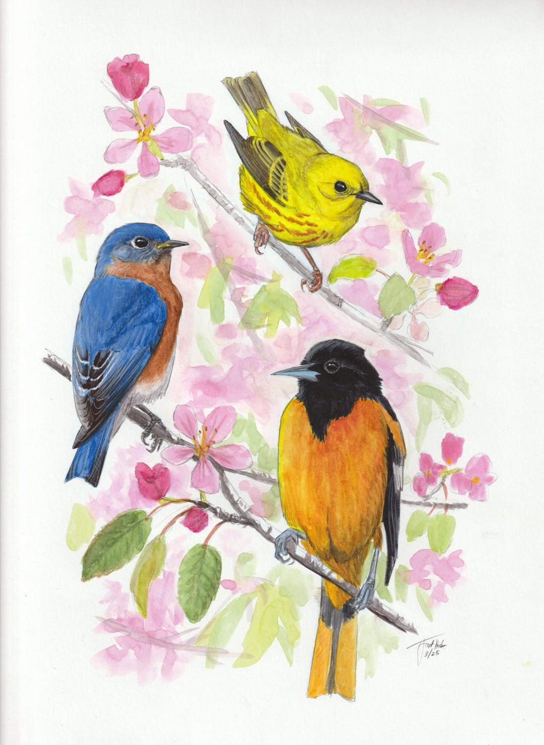 Spring Songbirds Fine Art Print - Etsy