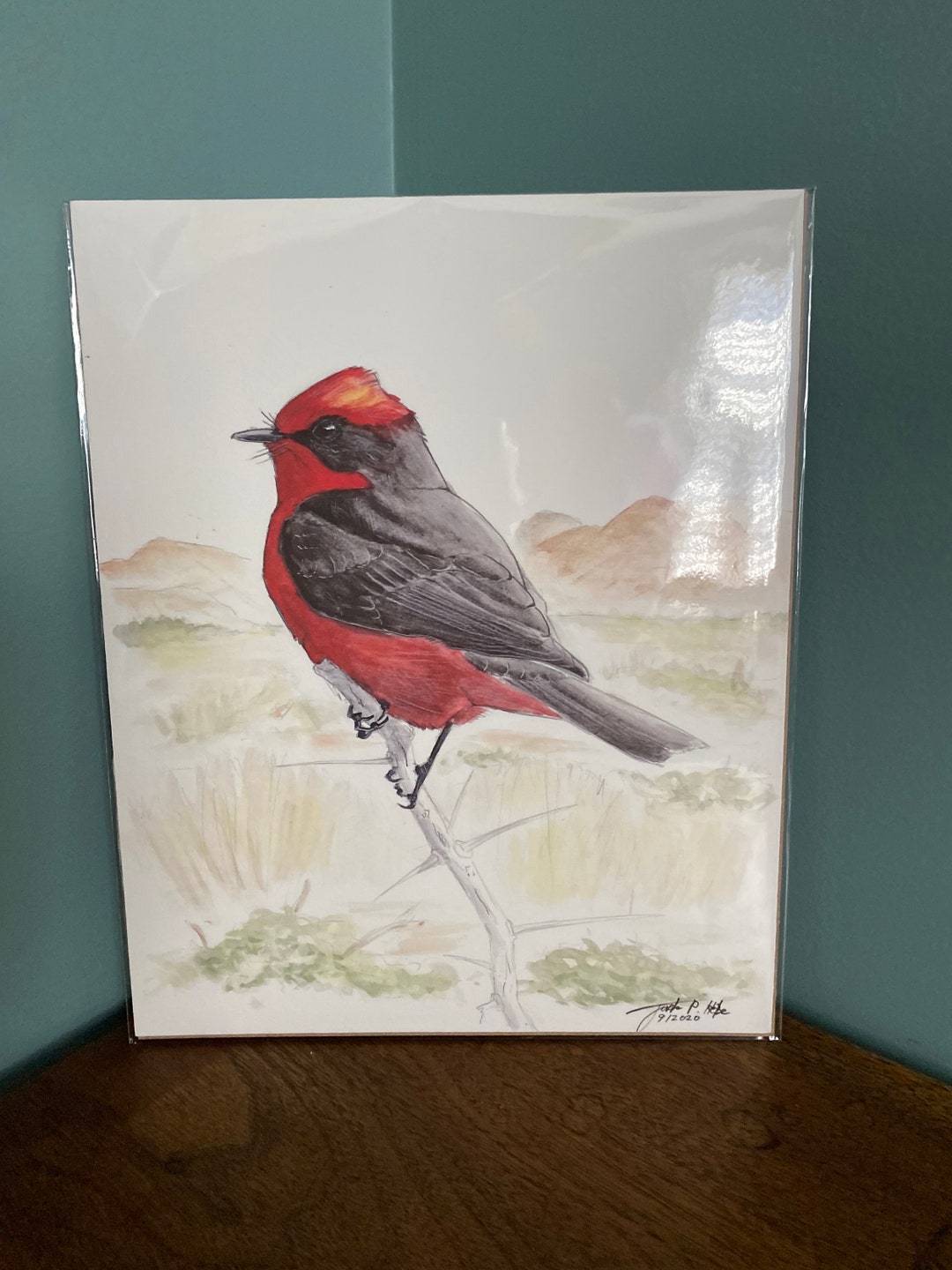 Vermilion Flycatcher Art Print - Etsy