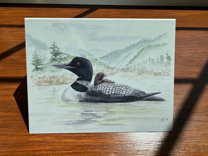 Common Loon Notecard Set Gift Watercolor Artwork Notecard Wilderness ...