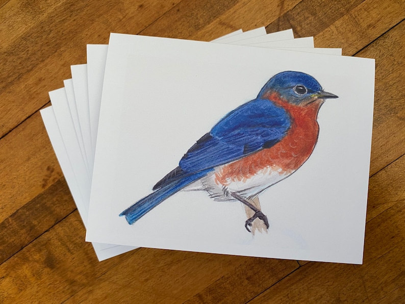 Bluebird Gift Watercolor Artwork Notecard Cheery Spring Gift for Bird ...