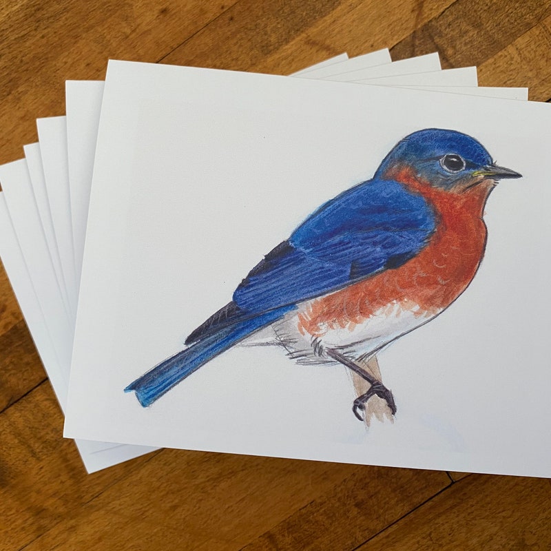 Bluebird Card Eastern - Etsy
