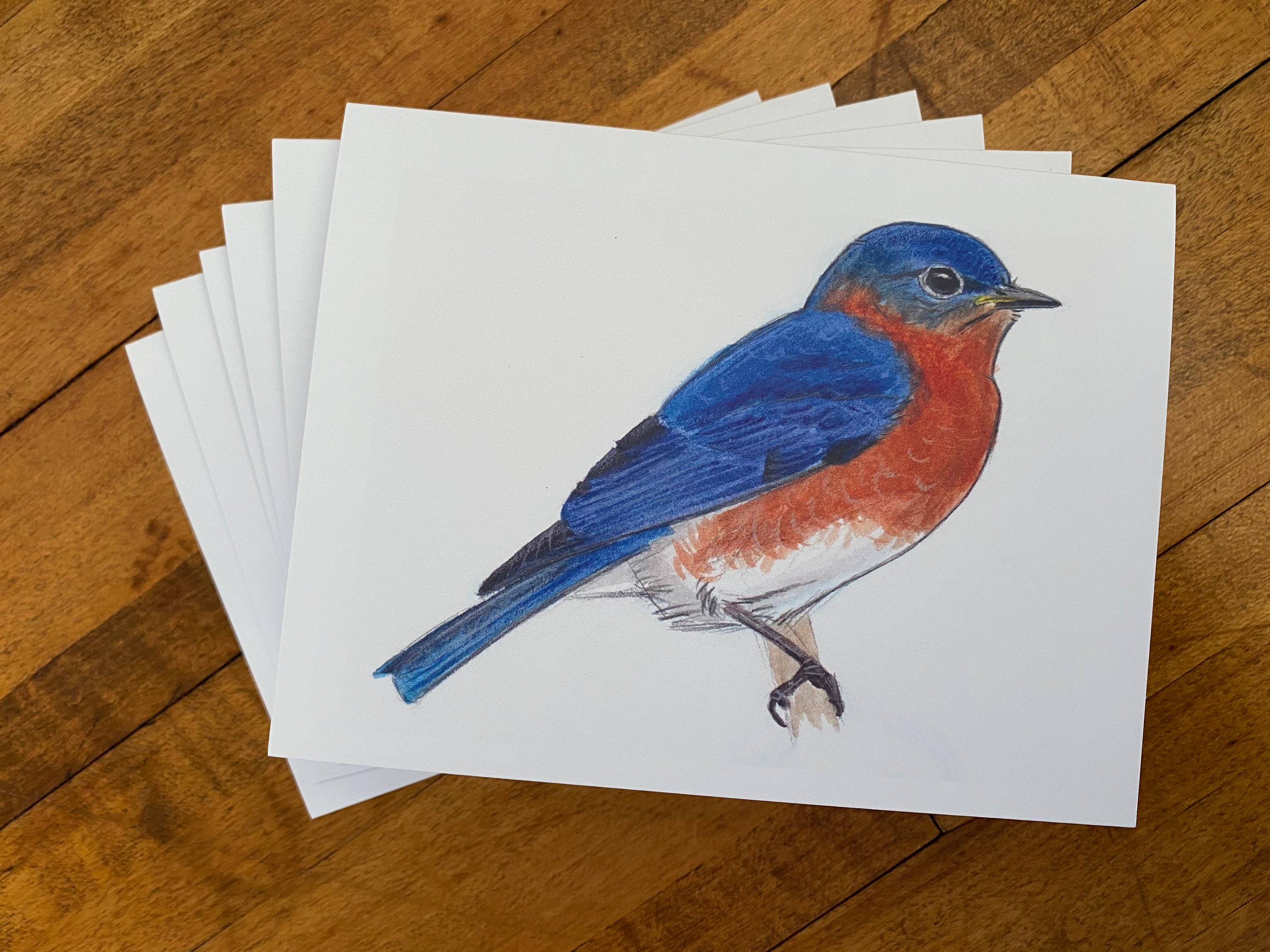 Bluebird Gift Watercolor Artwork Notecard Cheery Spring Gift for Bird ...