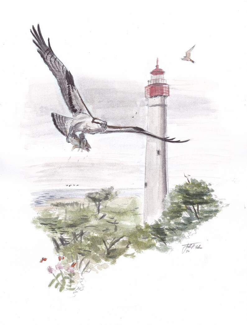 Osprey at Cape May Lighthouse Fine Art Print - Etsy