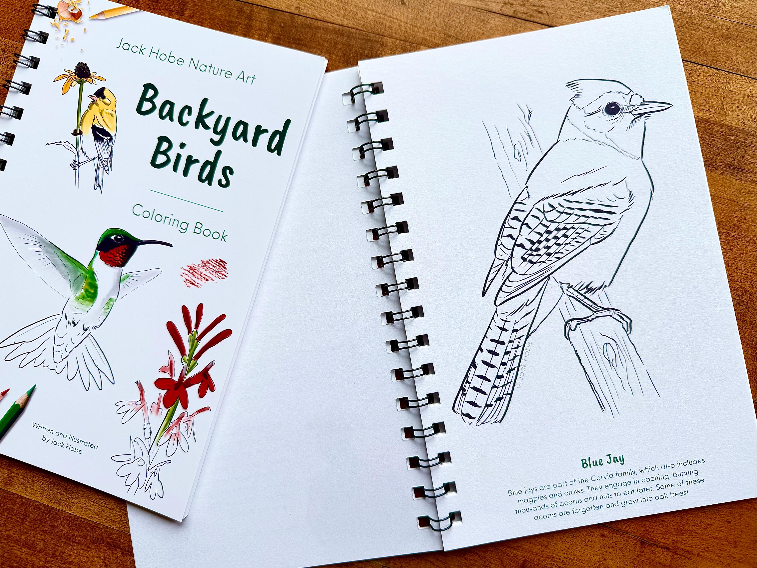 Backyard Birds Coloring Book - Etsy