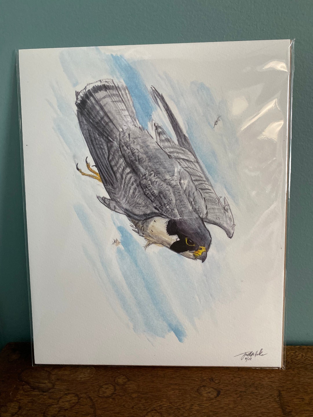 Peregrine Falcon Art Print - Etsy