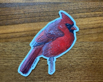 Female Northern Cardinal Sticker: Charming Colored Pencil - Etsy