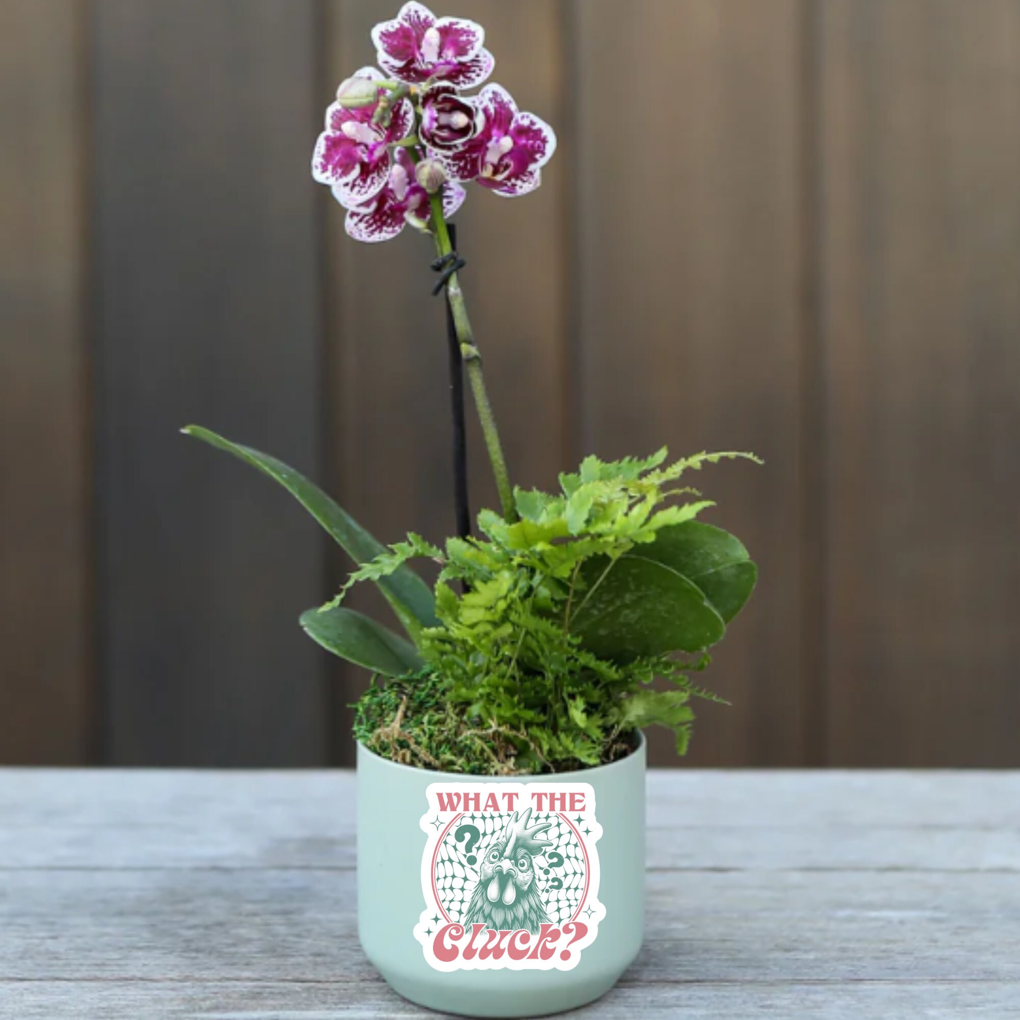 What the Cluck Vinyl Sticker - Etsy