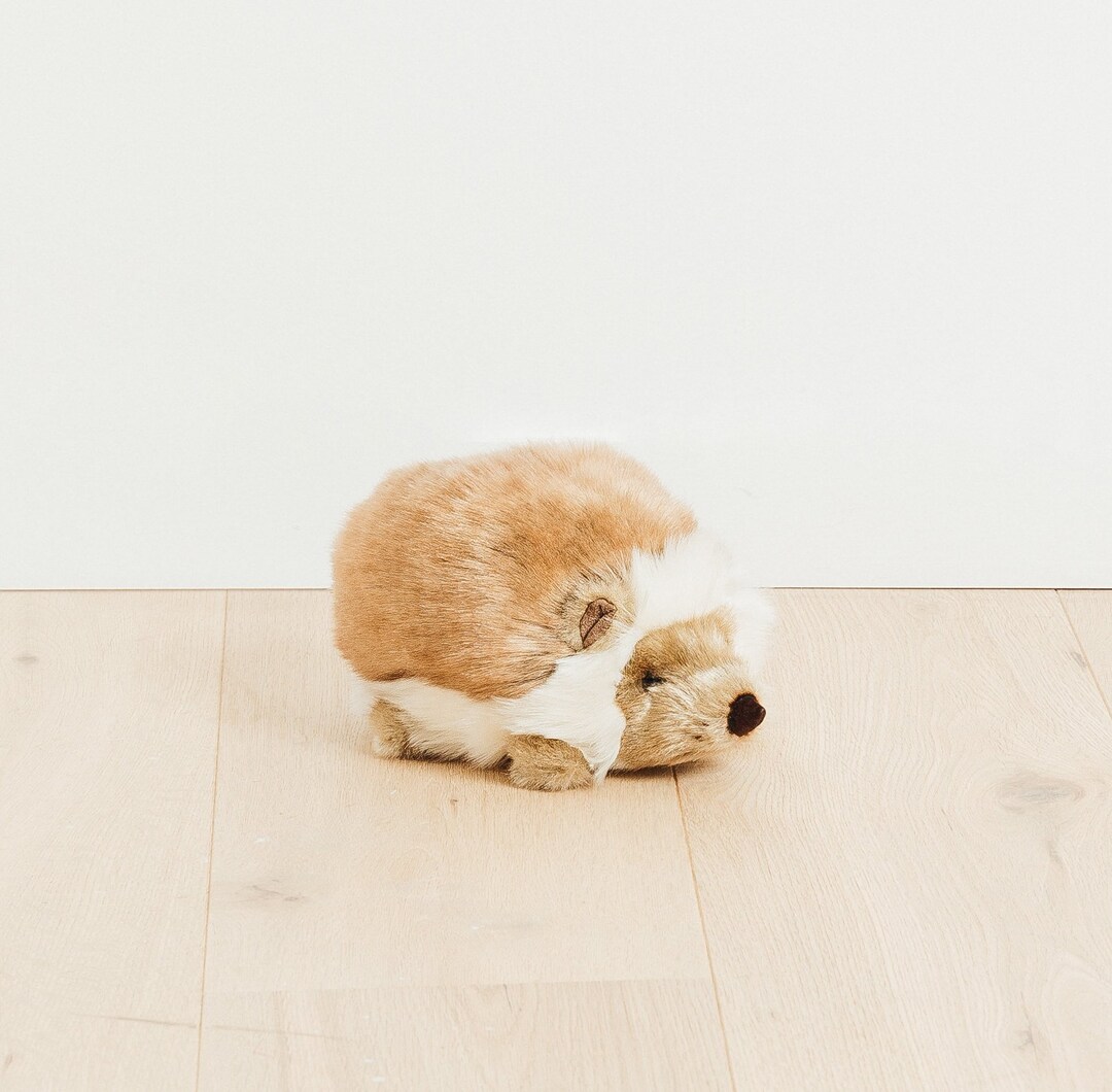 Small Handmade Stuffed Toy Hedgehog 20cm. Brown Synthetic Fur ...