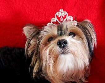 Dog Party Tiara - Etsy