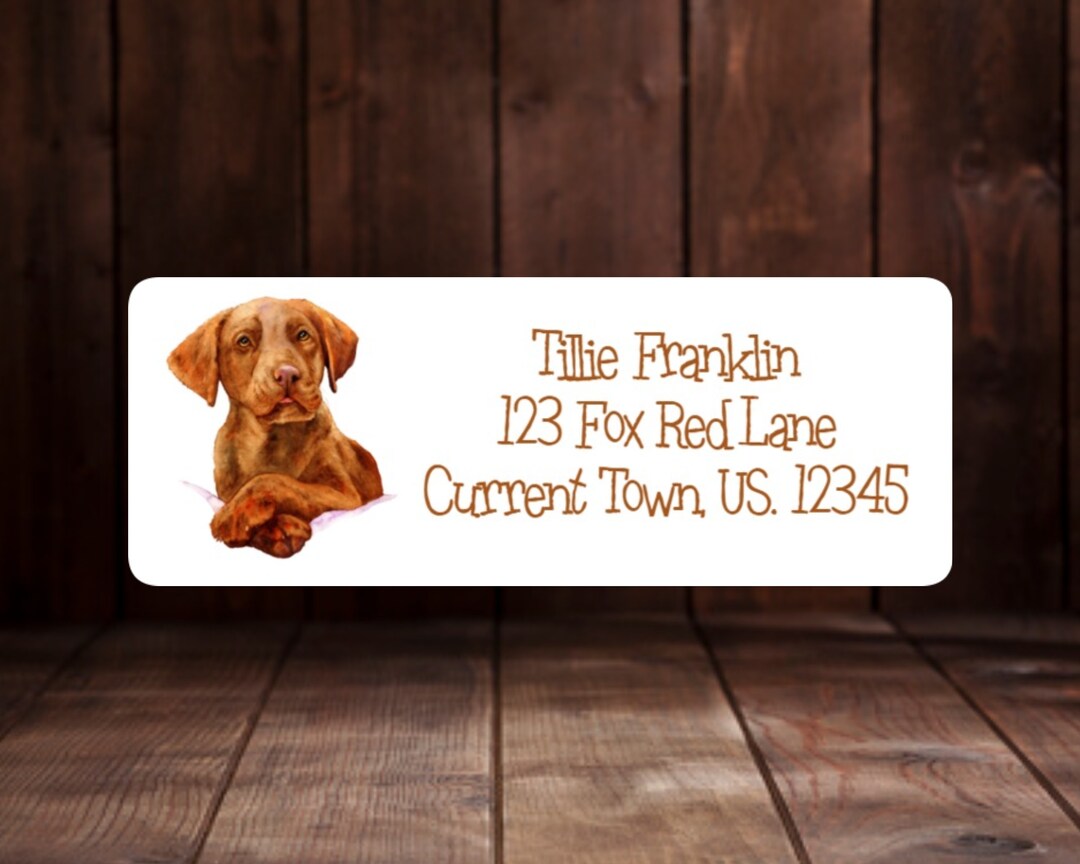 Personalized Fox Red Labrador Retriever Dog Pup Puppy Lab Return ...