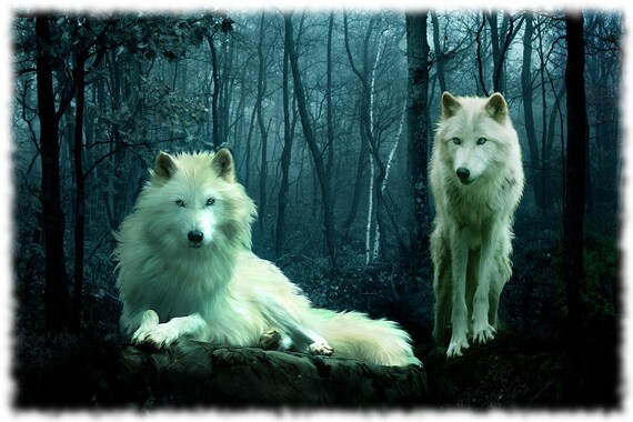 Wolf 16 T Shirt Heat Transfer Wolves - Etsy