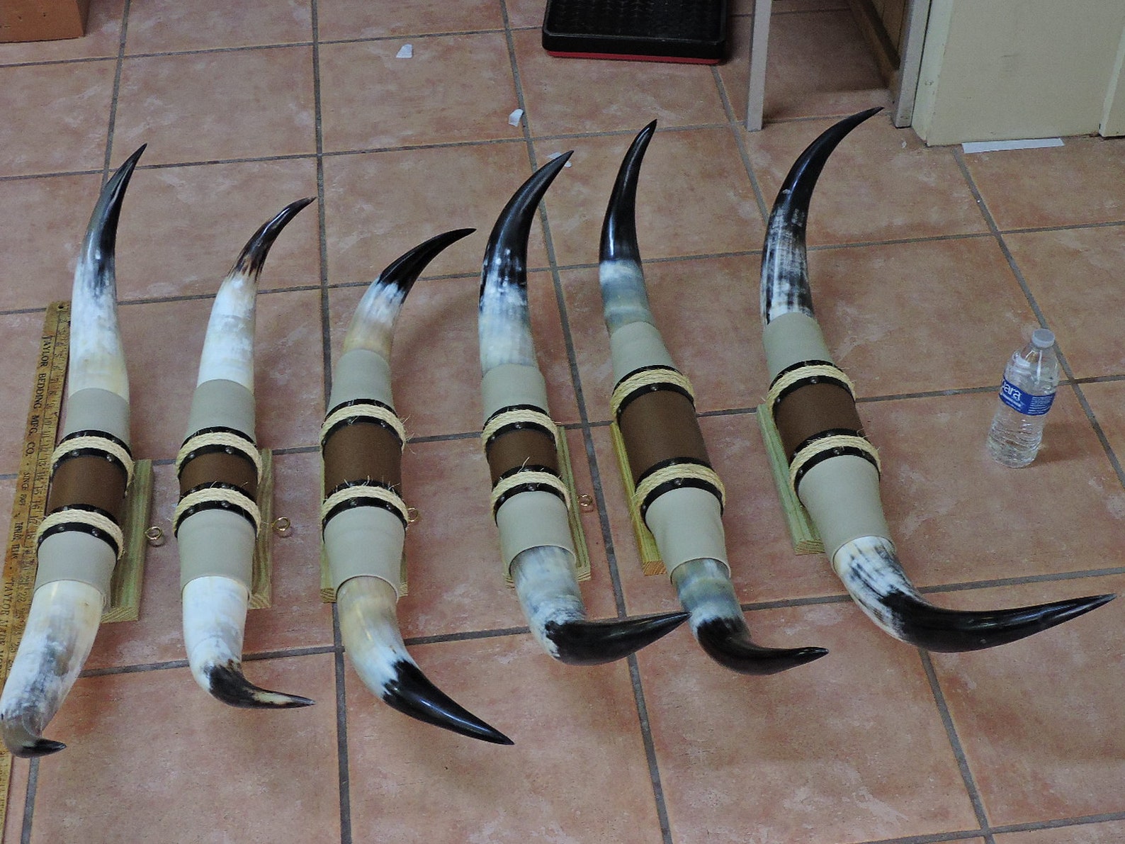 Steer Horns 2'6 2'11 Mounted LONGHORN - Etsy