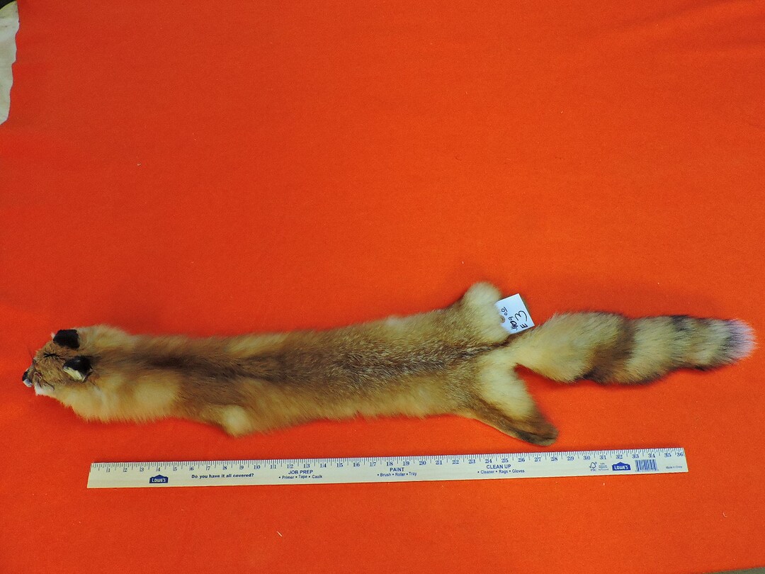 RED FOX Skin #3, Red Fox Pelt Tanned Hide, Red Fox Hide, Red Fox Hide ...