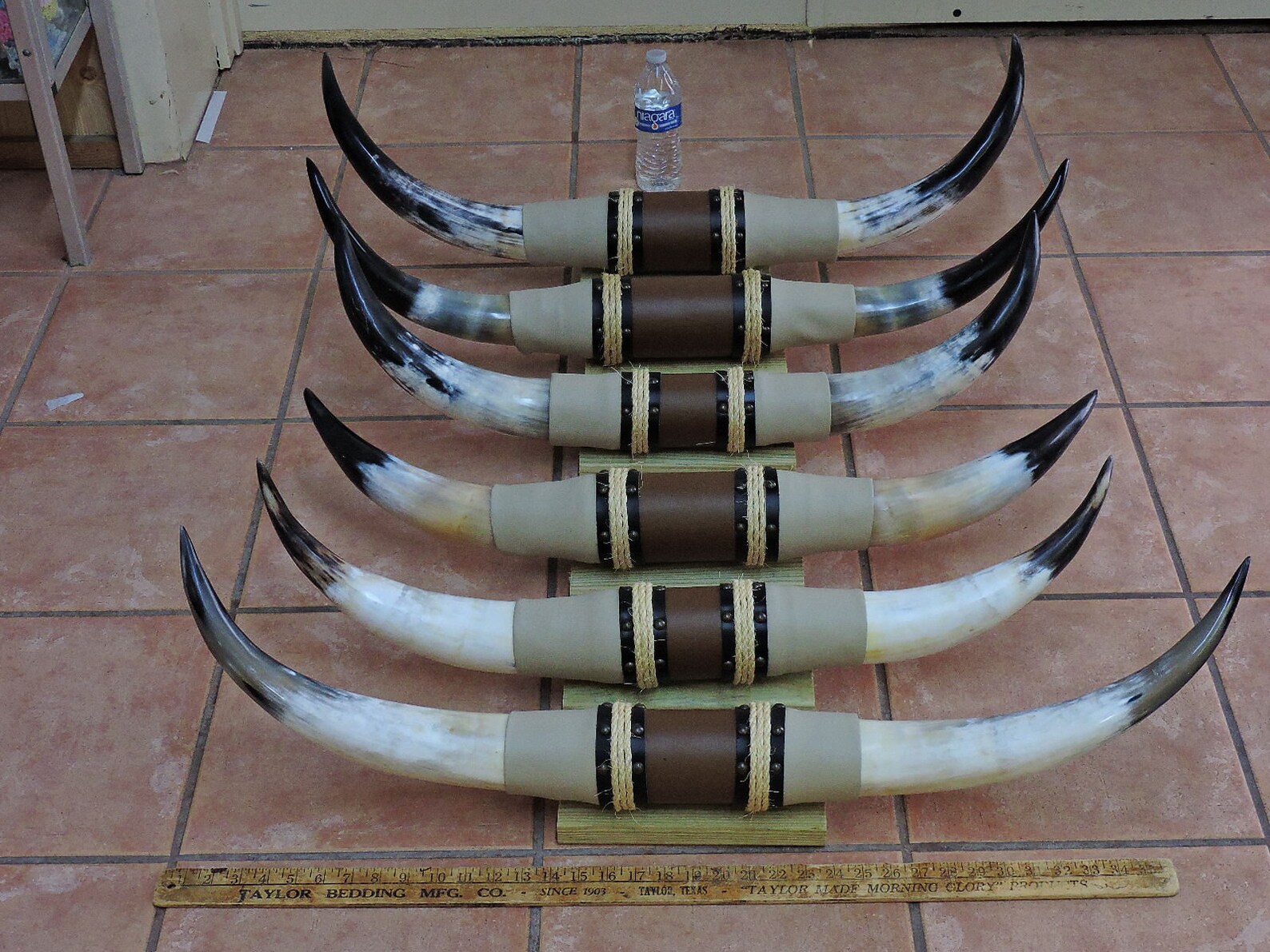 Steer Horns 2'6 2'11 Mounted LONGHORN - Etsy