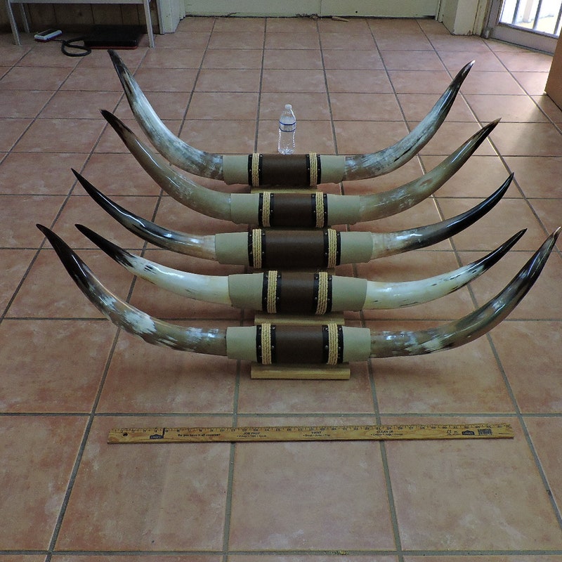 Real Bull Horns Wall Mount - Etsy