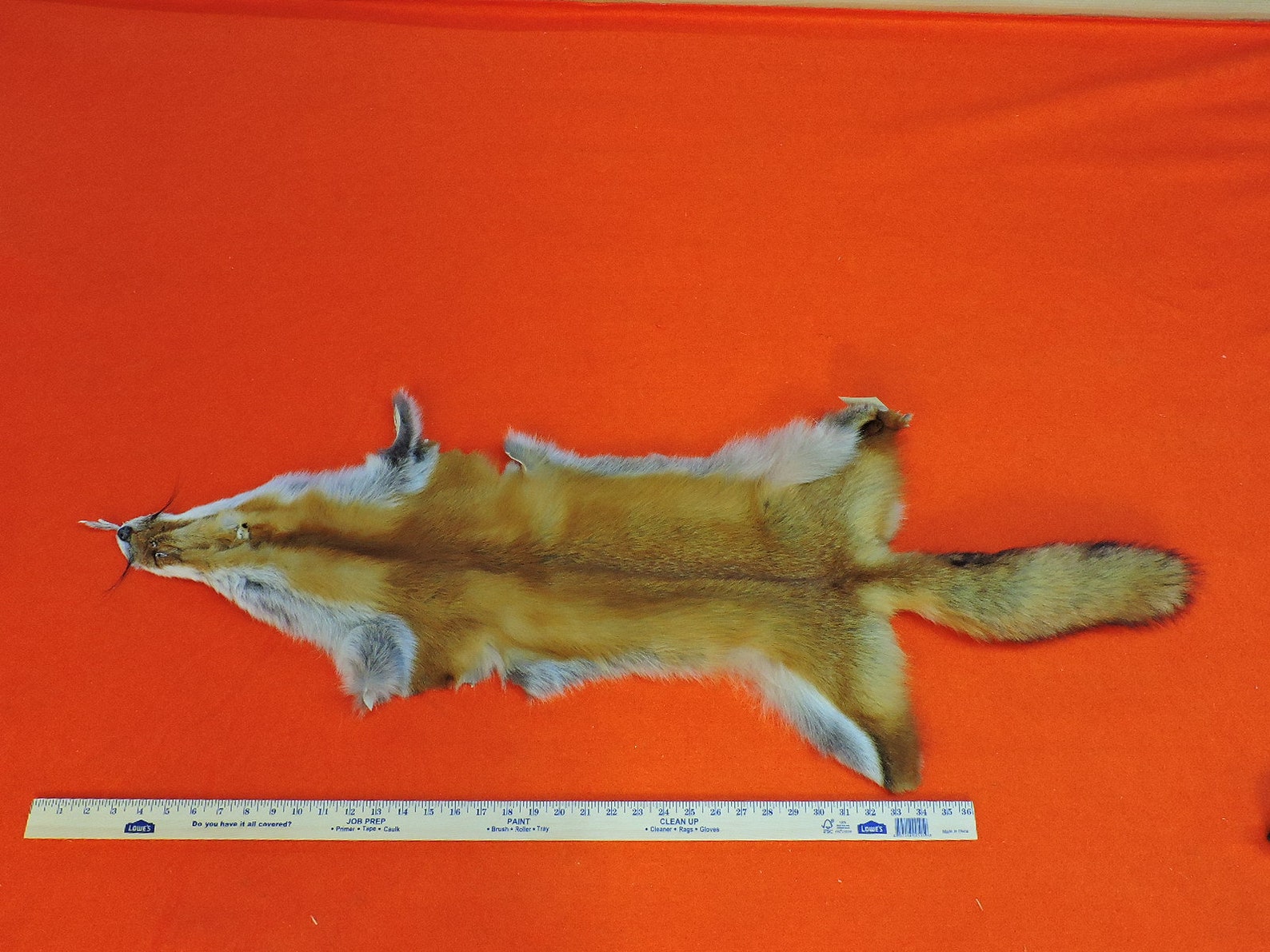 RED FOX Skin 7 Red Fox Pelt Tanned Hide Red Fox Hide Red | Etsy