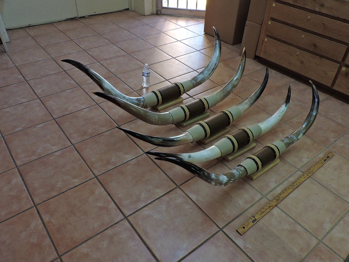 Steer Horns 4' 4'5 Mounted LONGHORN Steer - Etsy