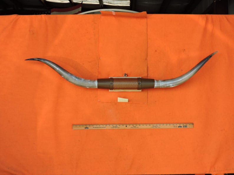 Steer Bull Horns #410 Mounted Longhorns Steer Horns 4'8" Tip to Tip - Etsy