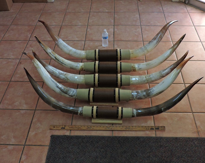 Mounted Steer Horn one Only 3' Feet TO 3' Feet 5 Inch WIDE Polished Cow ...