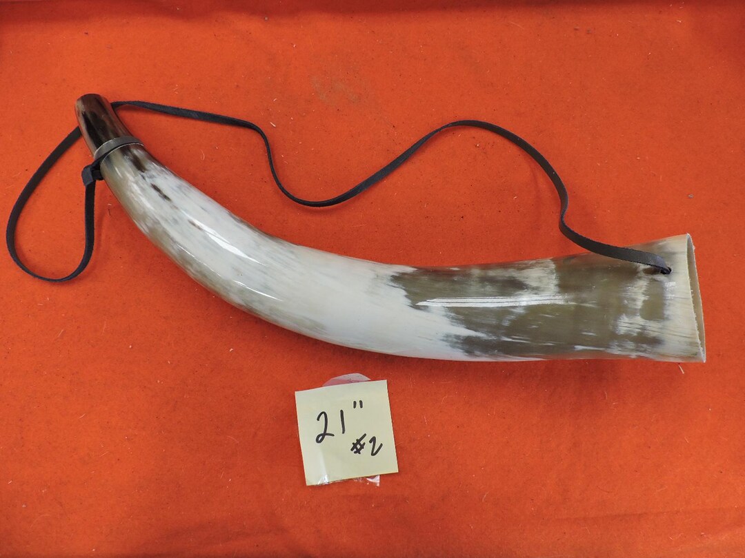 Viking Blowing Cow Horn Medieval Hunting Dog Horn 21 Inches #2 - Etsy