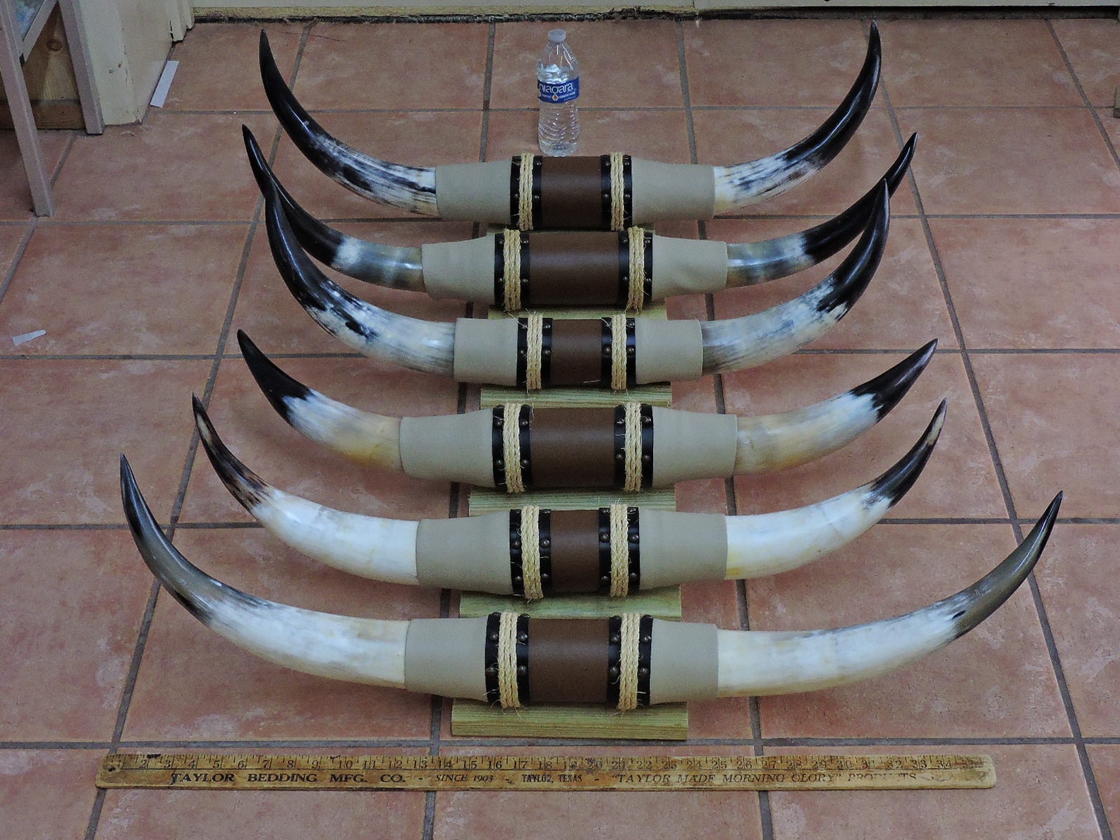 Steer Horns 2'6 2'11 Mounted LONGHORN - Etsy