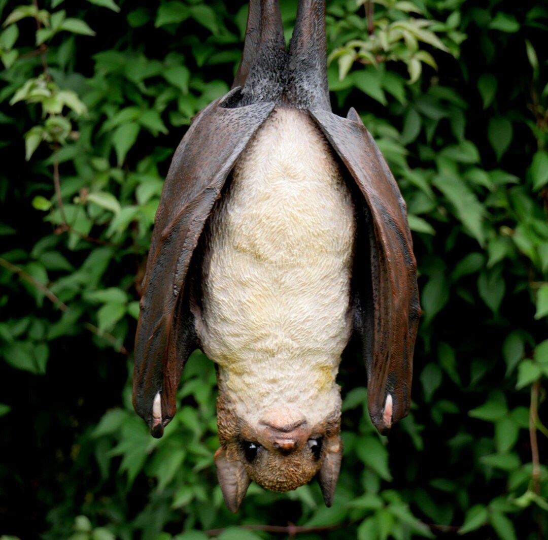 Bat Tree Hanging Garden Ornament Statue Sculpture Indoor/ Outdoor Bat ...