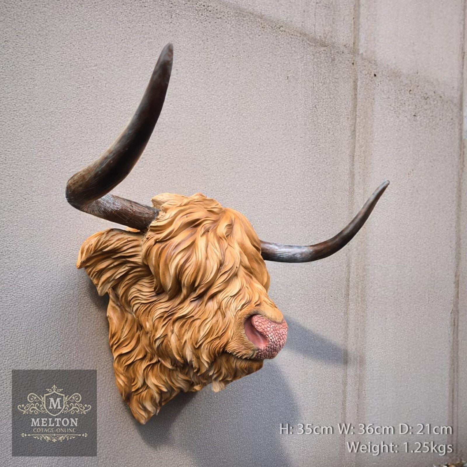 Scottish Highland Cow Head Wall Mounted Brown Decorative With Horns ...