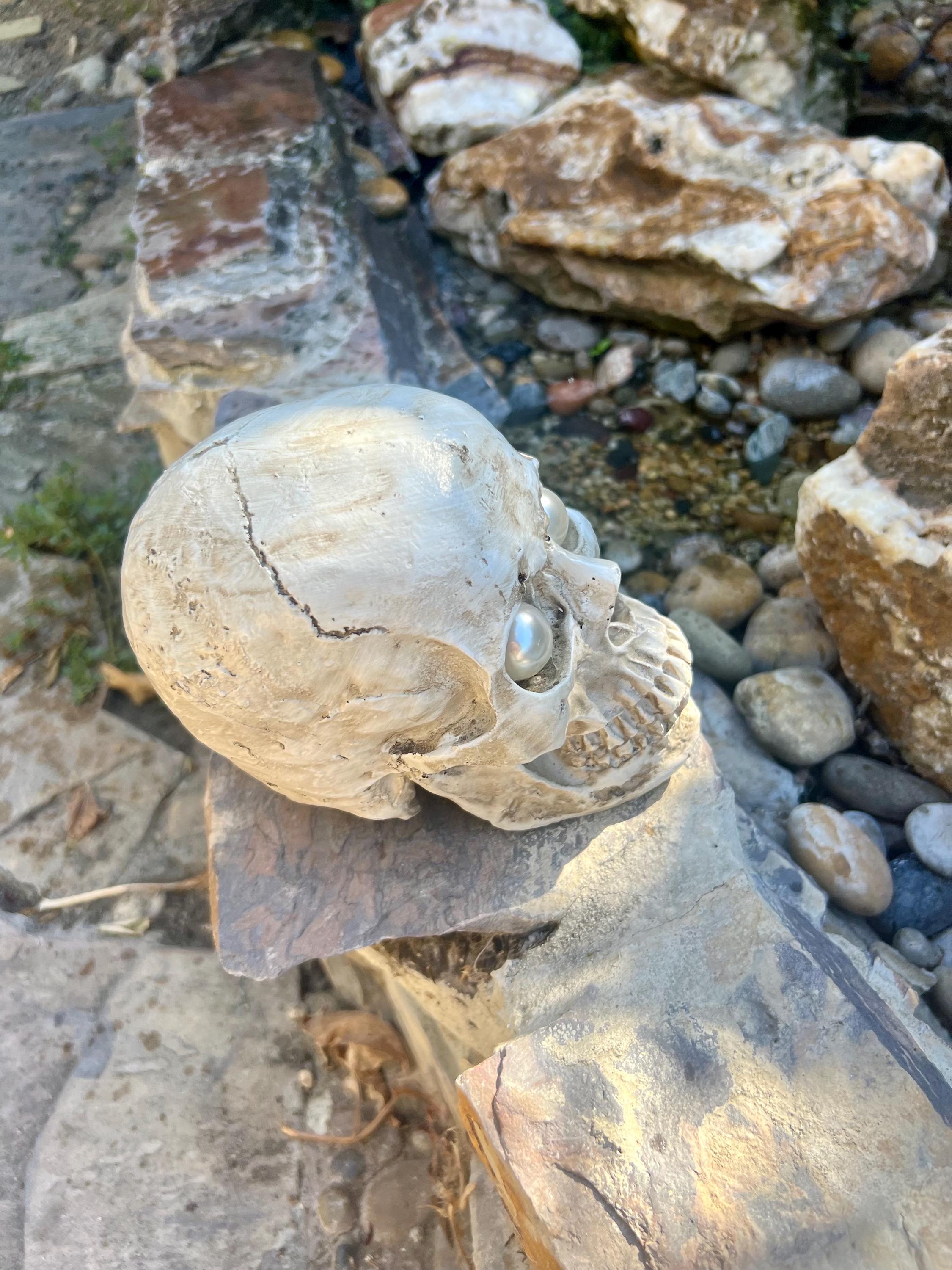 Antique White Skull - Etsy