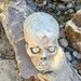 Antique White Skull - Etsy