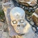 Antique White Skull - Etsy