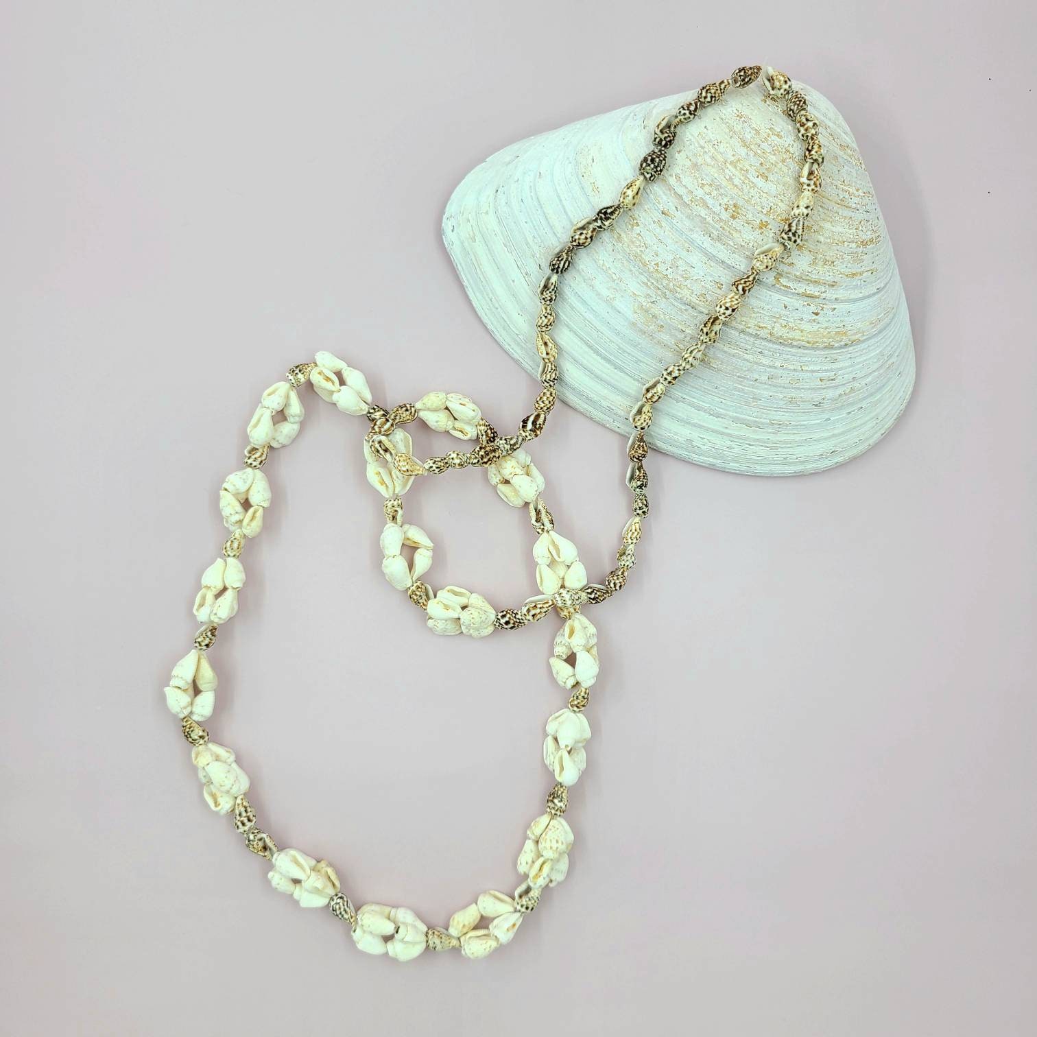 Long Vintage Sea Shell Necklace - Etsy
