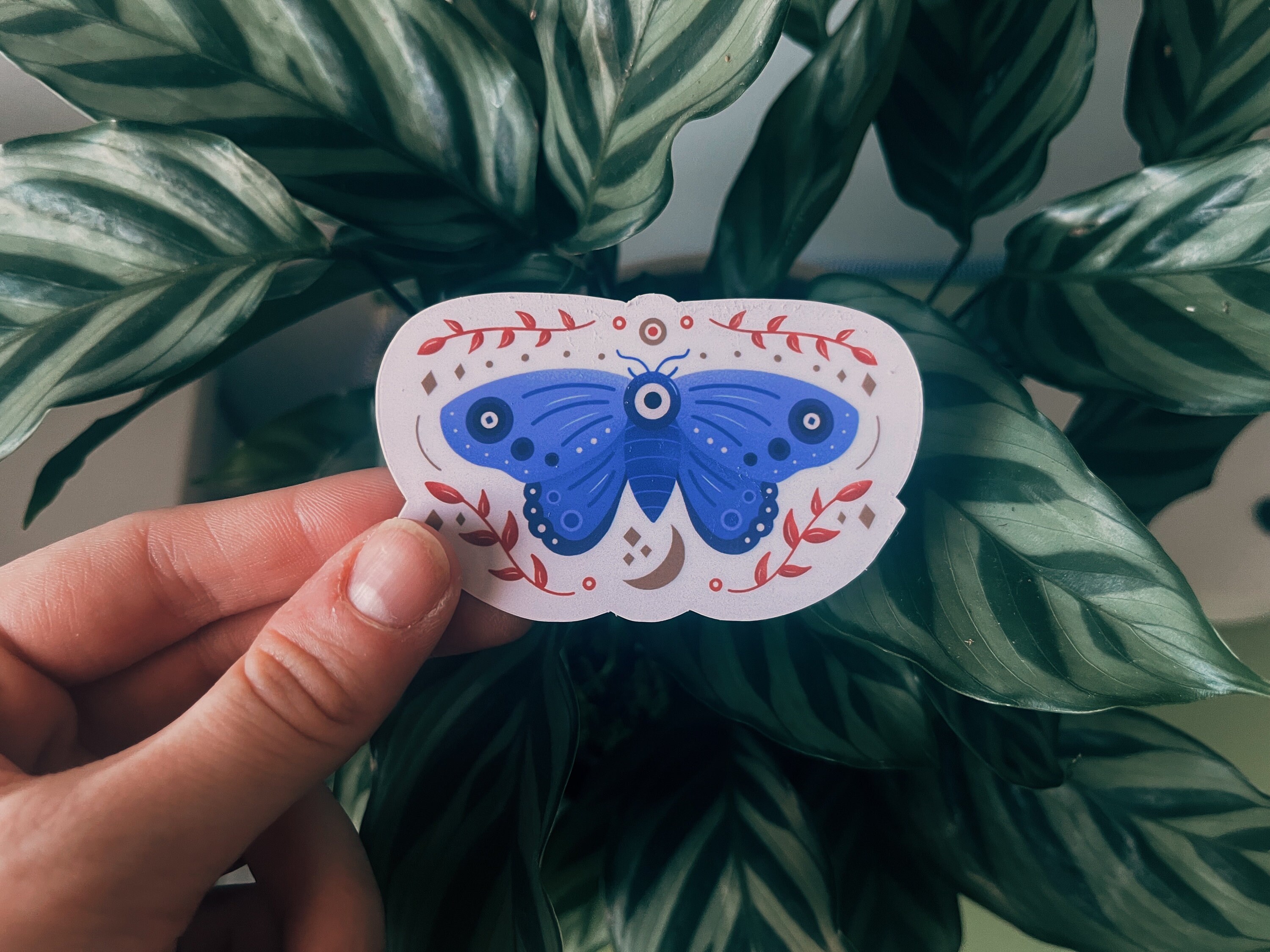 Blue Lunar Moth Waterproof Vinyl Sticker | Moon Stars Celestial - Etsy