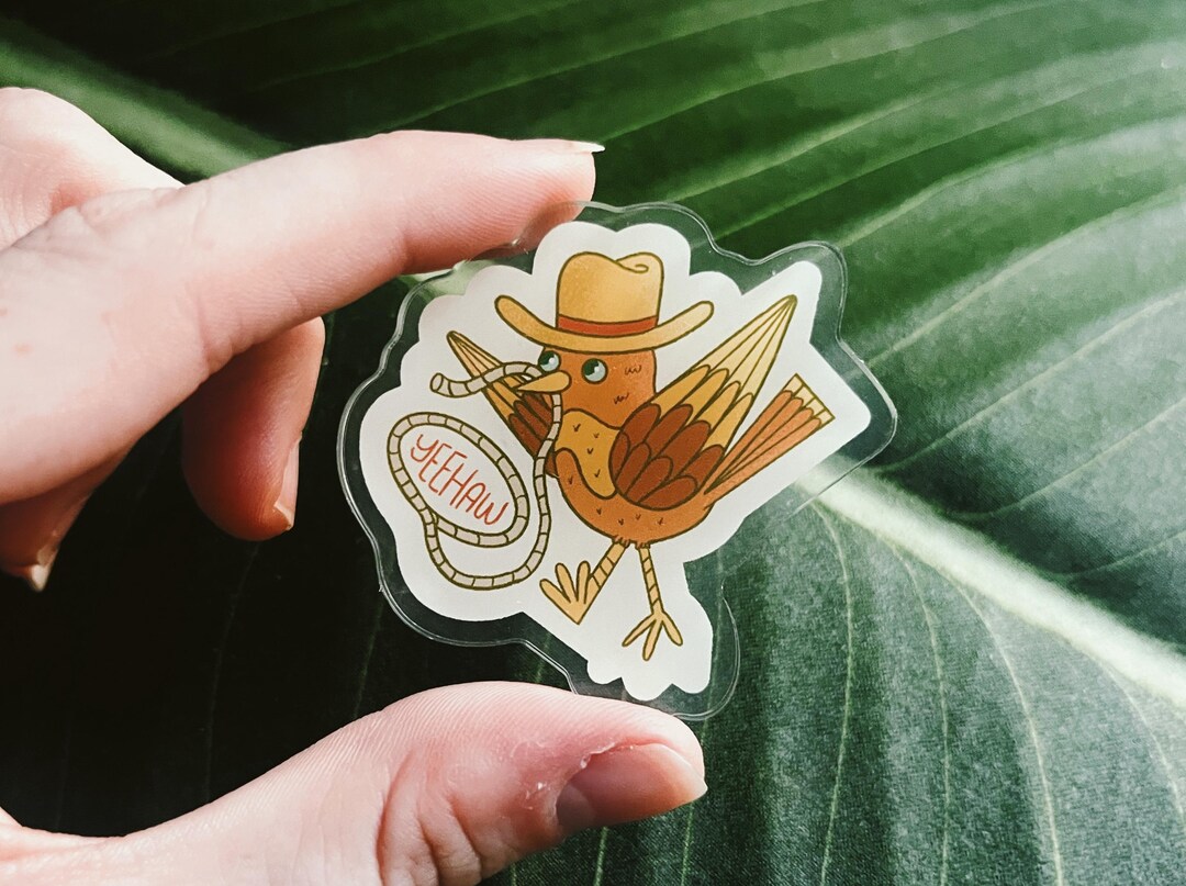 Yeehaw Wild West Roadrunner Acrylic Pin 2 Inch - Etsy
