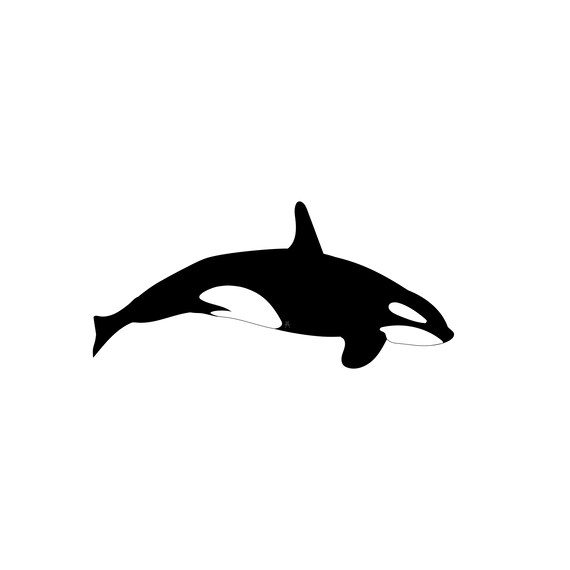 Orca Killer Whale Vector File Black and White Illustration | Etsy