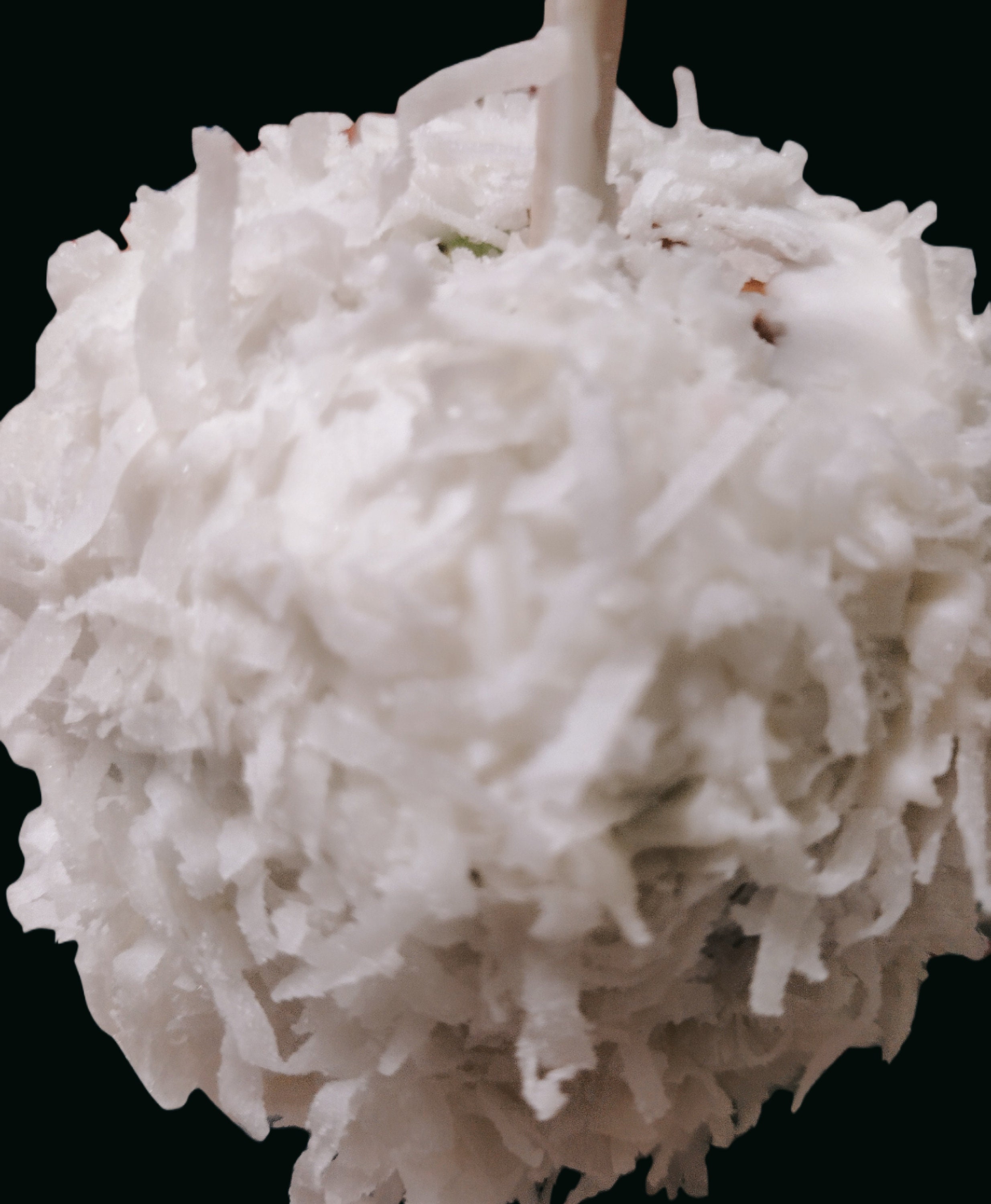 Coconut Candy Apples