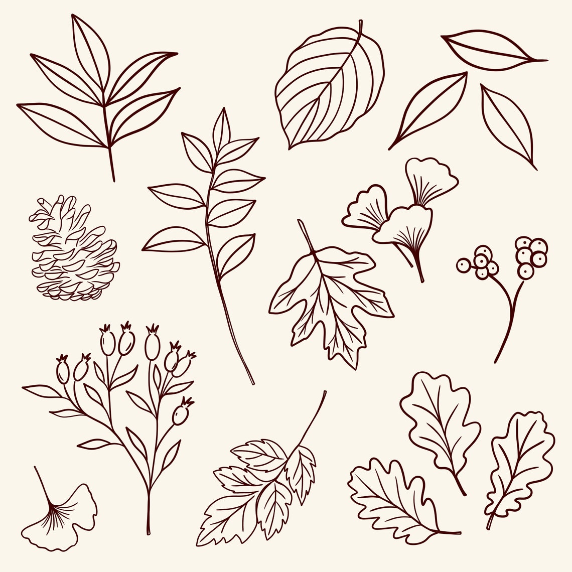 Autumn Illustrations Fall Harvest Line Drawings Clipart PNG Pumpkin ...